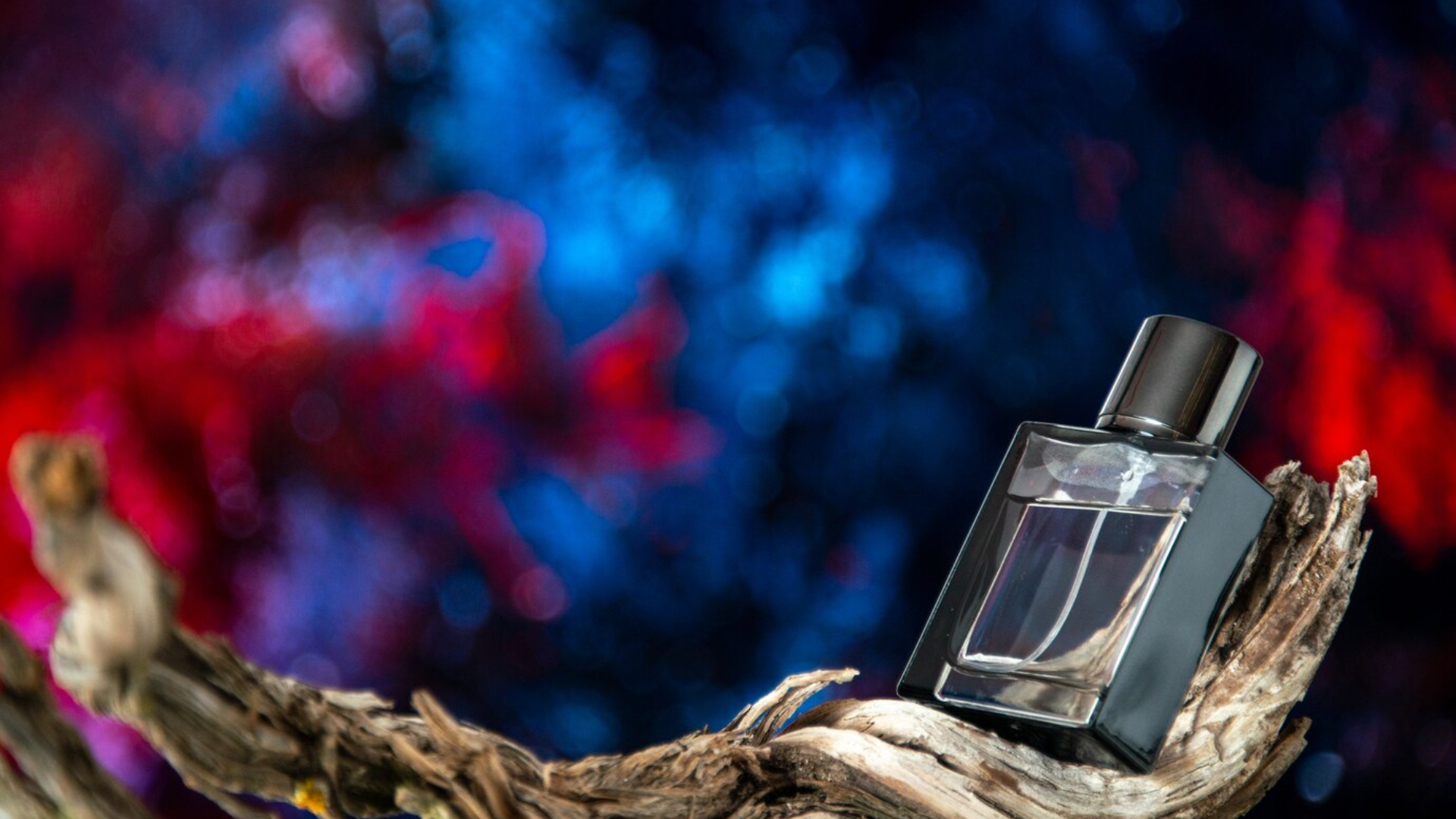 World's Most Luxurious Scents & Fragrances That Fit for Royalty ...